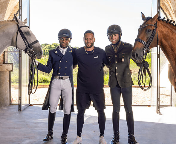 Horse Team | Invest in Purebred Lusitano Horses with Olympic Genetics